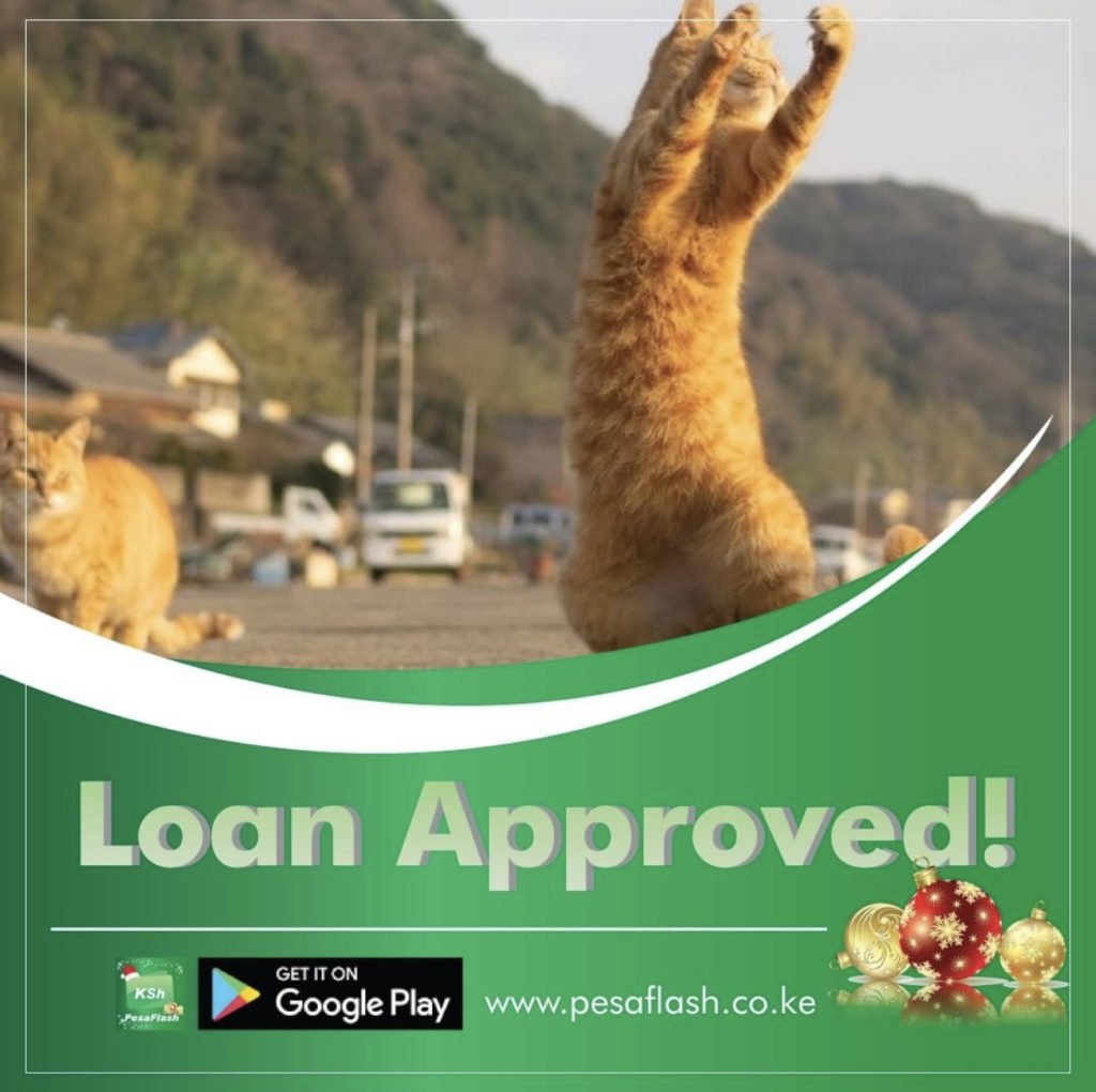 How To Apply For And Repay A PesaFlash Loan In Kenya - Nexbitke.com ...