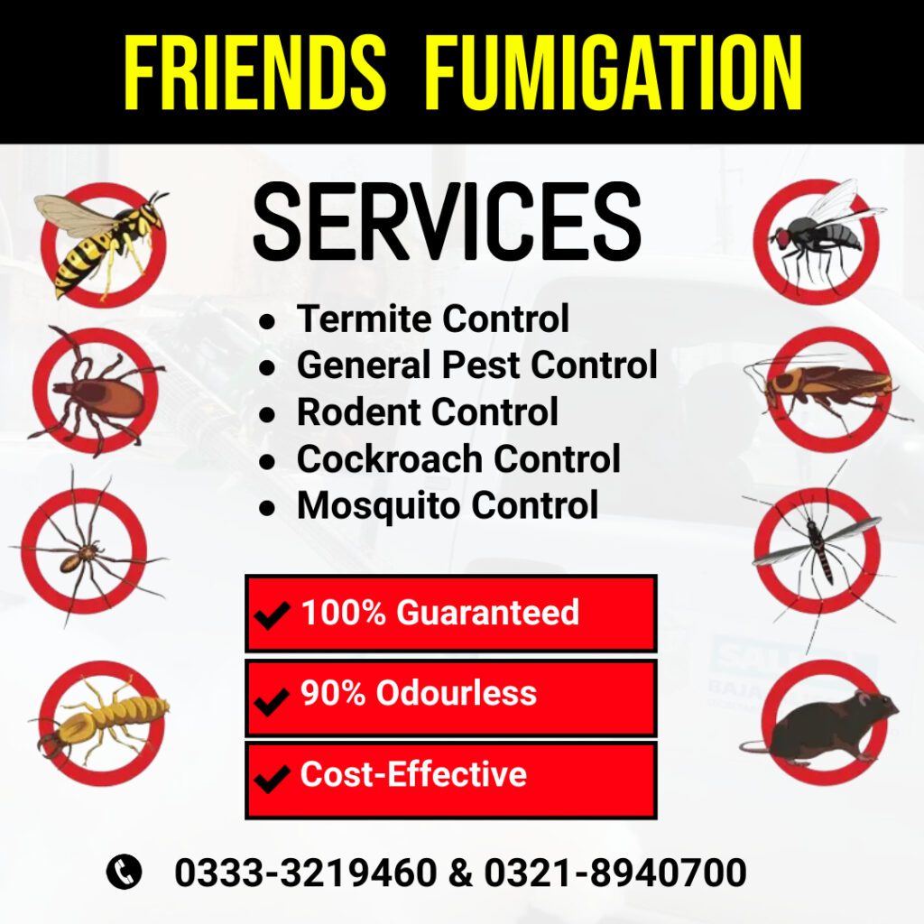Friends Fumigation Services Karachi - Nexbitke.com - Business & Tech